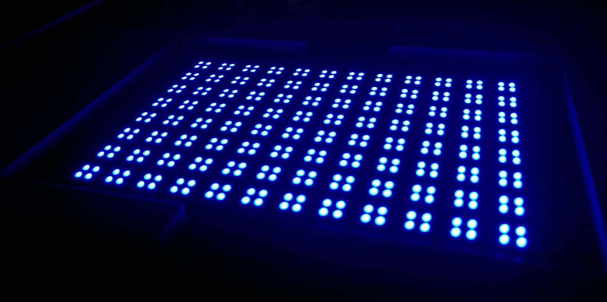 Plate illumination | OptoLumina - enabling illumination